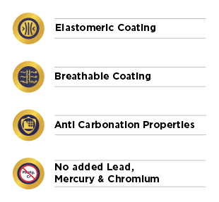 Ultra Shield - Top Coat